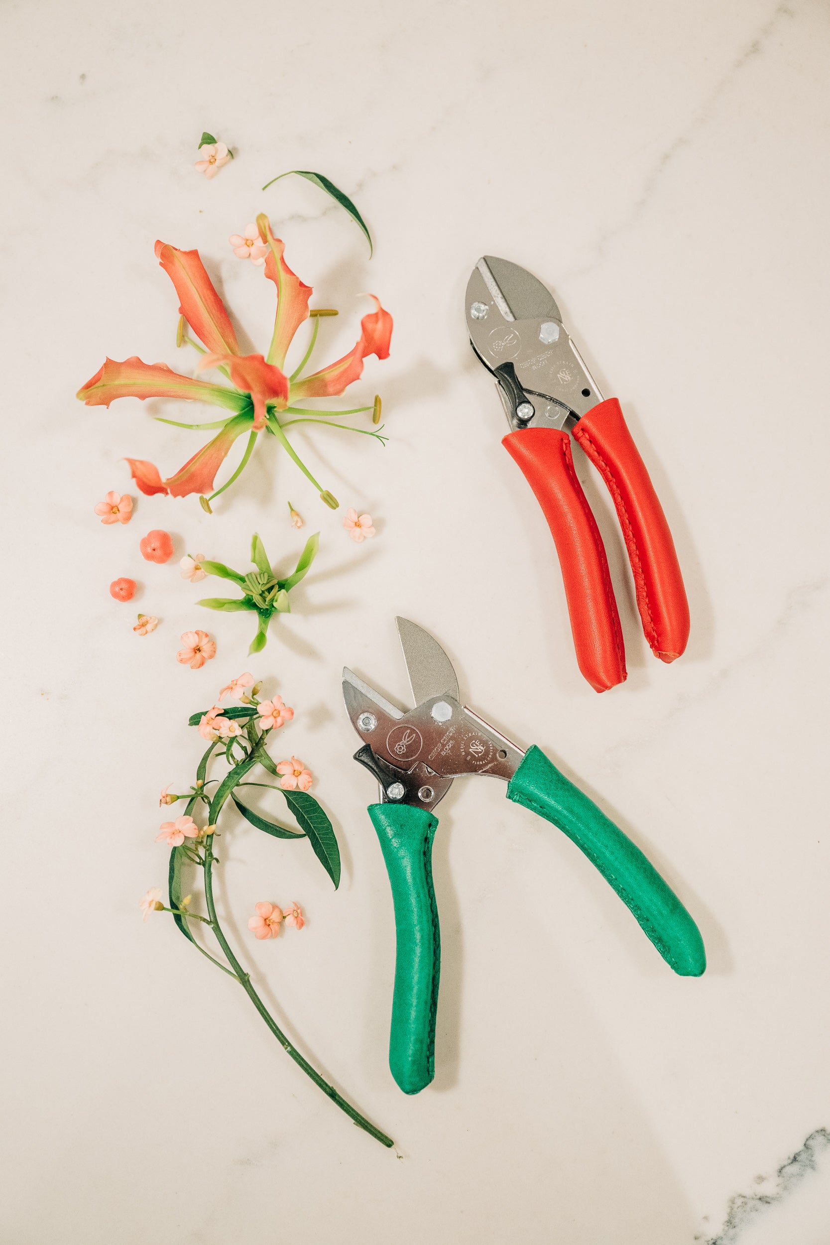 Chop Chop Bloom Secateurs – Neill Strain Floral Couture